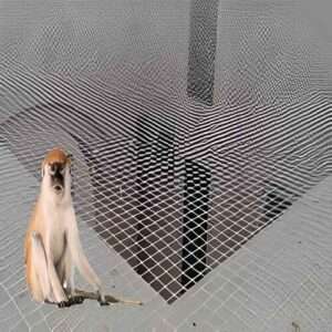 Cat and Monkey Safety Nets in Chennai, Coimbatore, Madurai