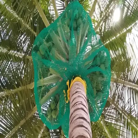 Reliable Netting Safety Nets Chennai, Coimbatore, Madurai